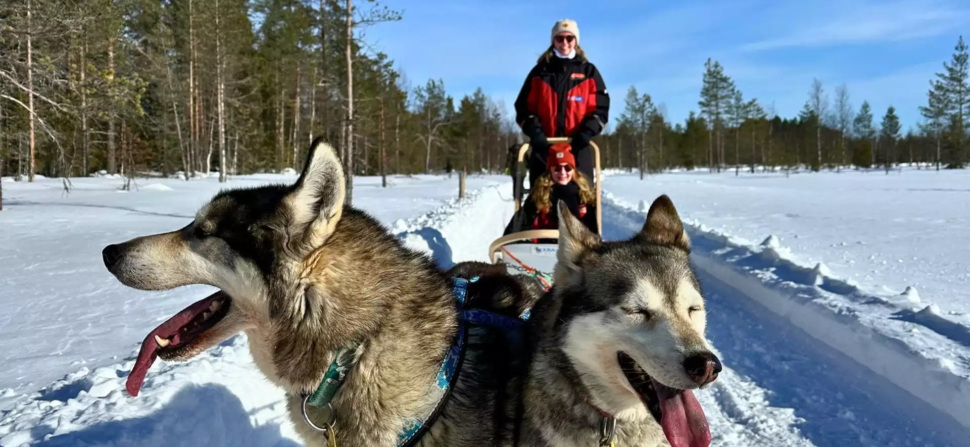 Vakantie Lapland in Saija Lodge | Voigt Travel
