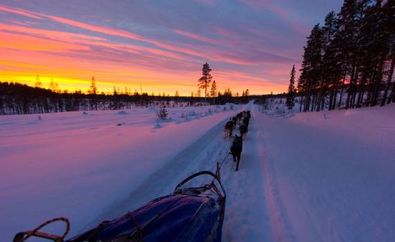 Wintersport Lapland reizen met ruimte voor eigen invulling | Voigt Travel
